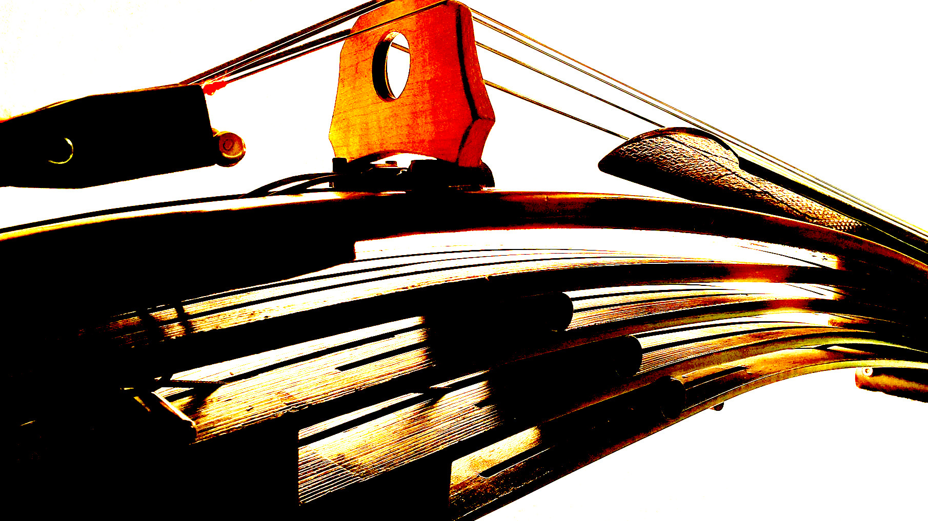 Lingsma | Electric Upright Basses